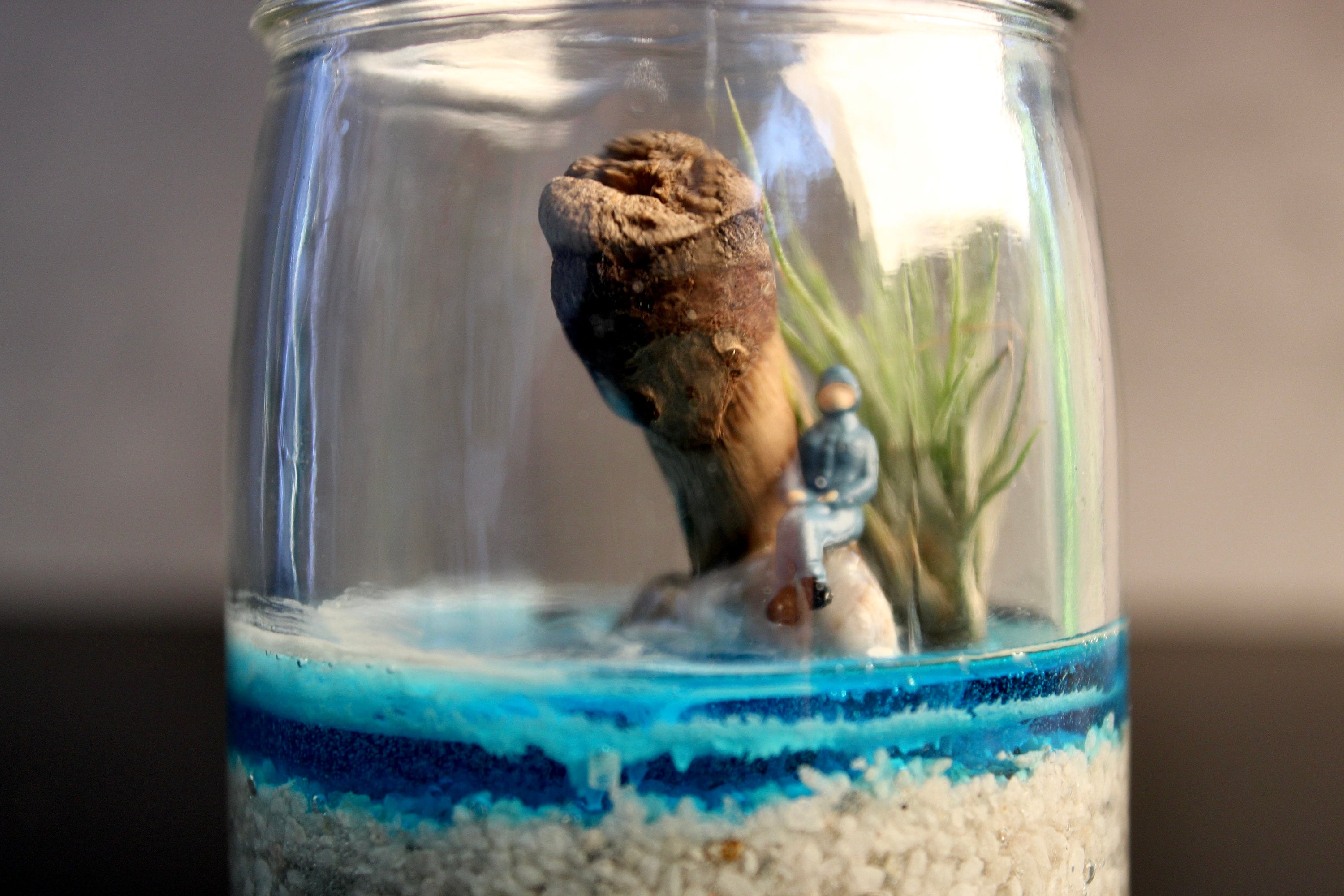 Micro Terrarium With Figurine | Live Terrarium | Air Plant Terrarium ...