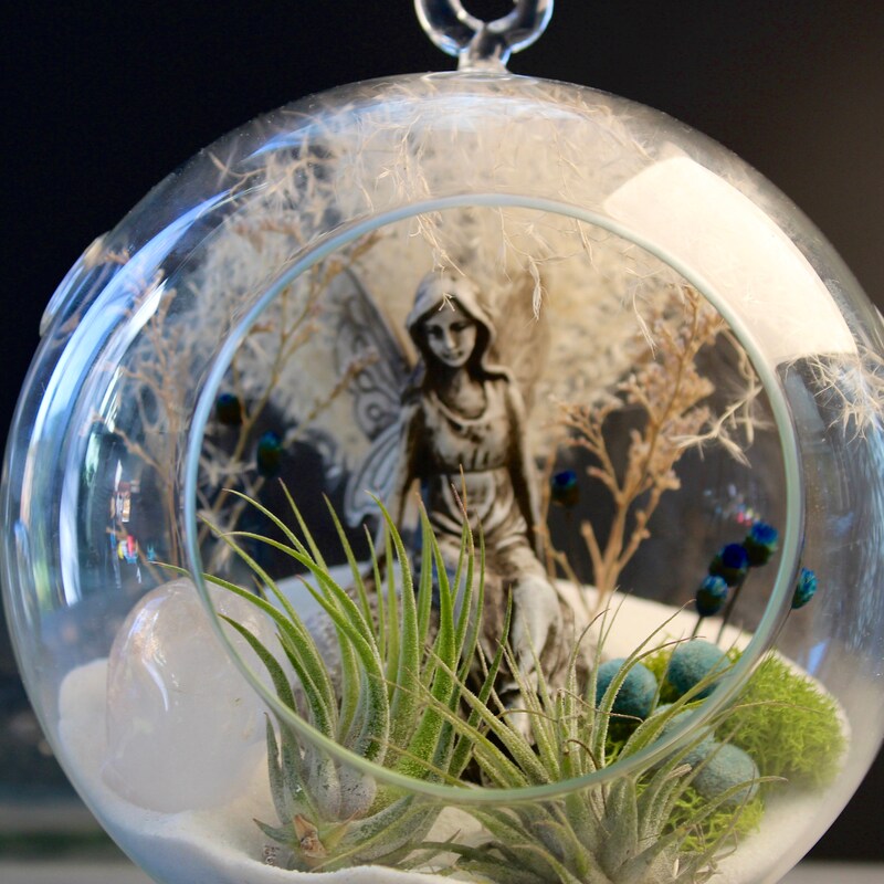 Hanging Terrariums - Etsy