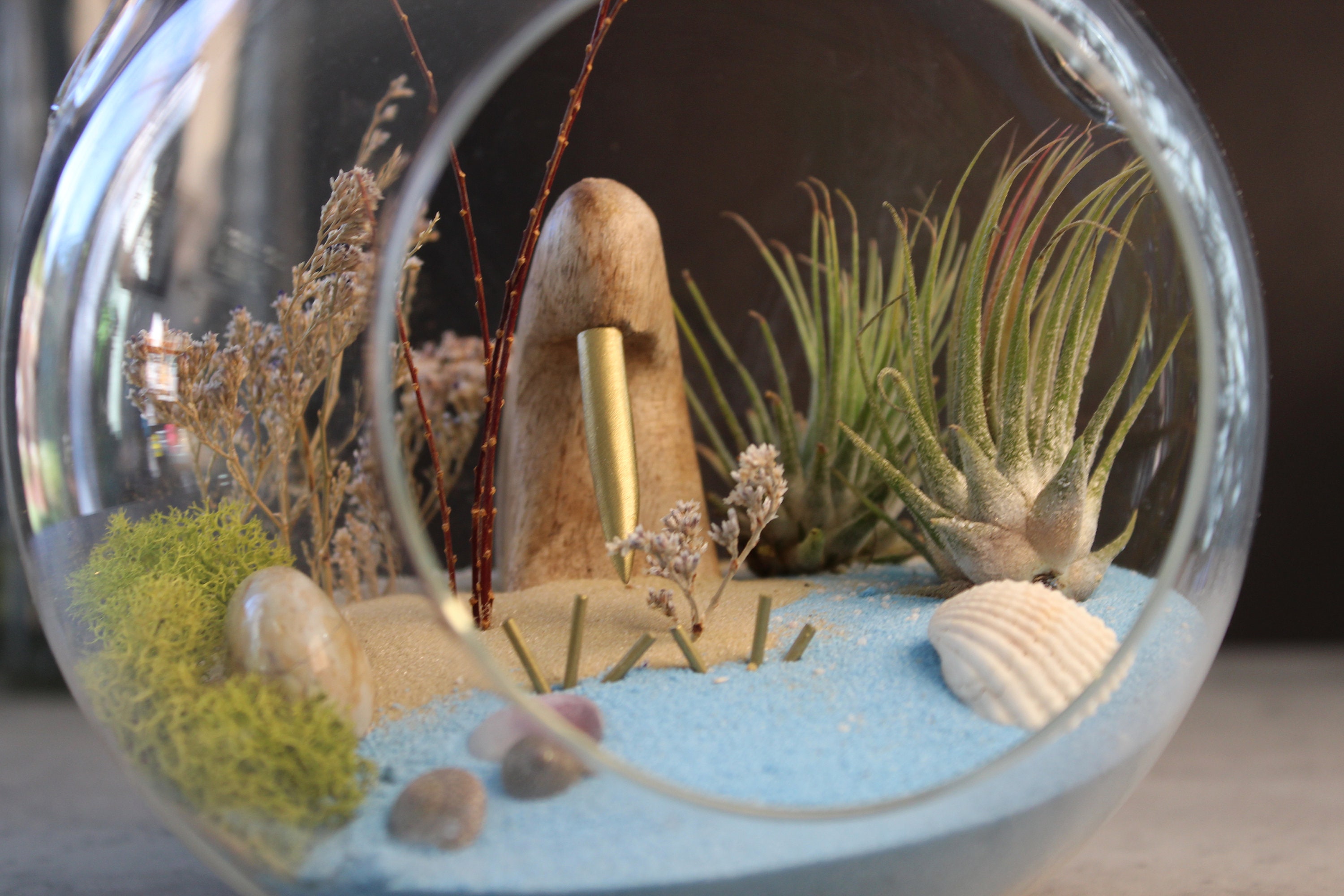 Sea Bird Sceneterrarium Kit | Aerium Kit | Hanging Terrarium | Table ...