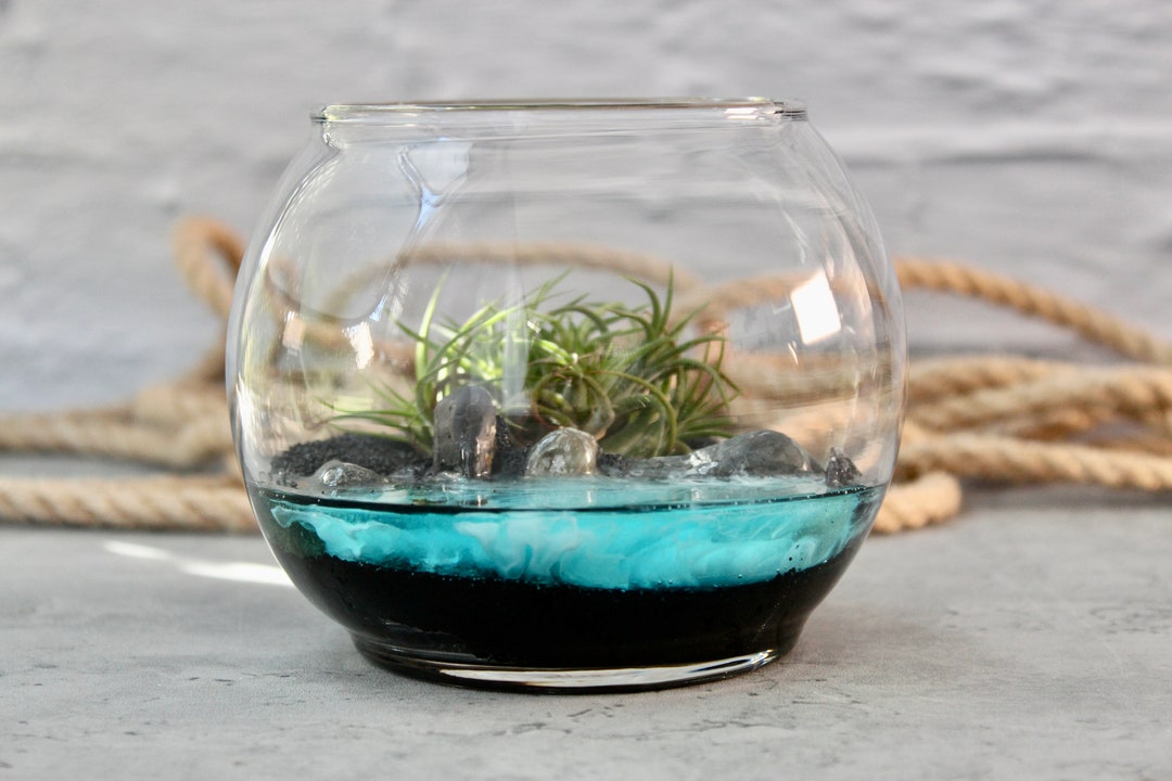 Black Sand Ocean Scene Terrarium | Ocean Terrarium | Small Glass ...