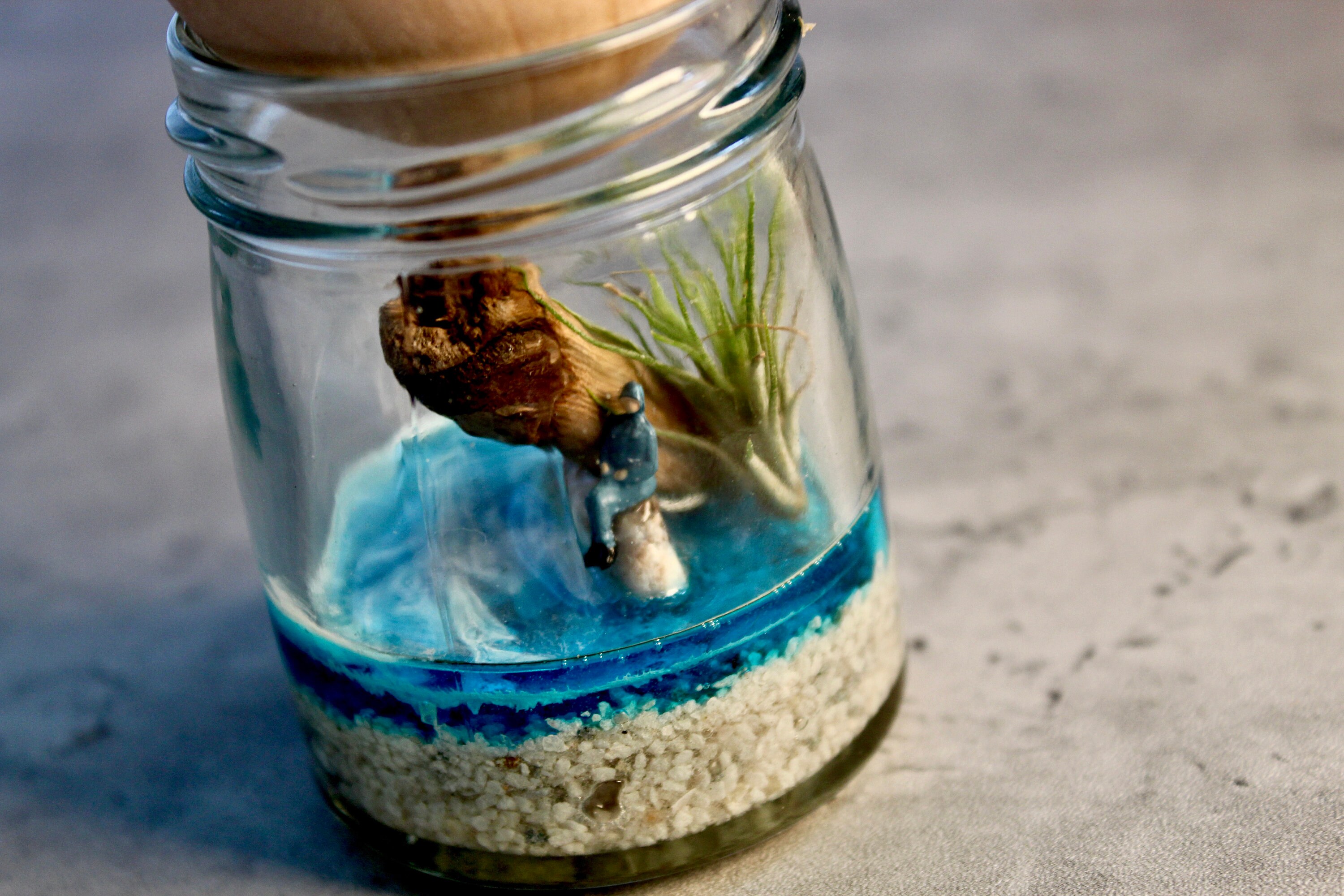 Micro Terrarium With Figurine | Live Terrarium | Air Plant Terrarium ...