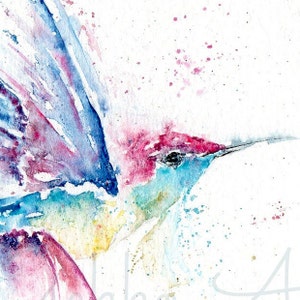 Hummingbird and Fuchsia, Fine Art Giclee Print, Hummingbird Watercolour-from an Original ...