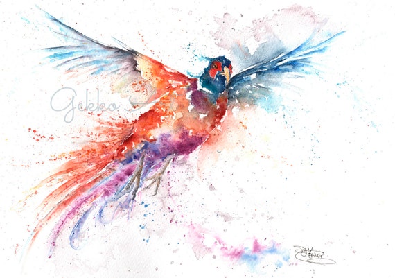 Pheasant Flying Drawing