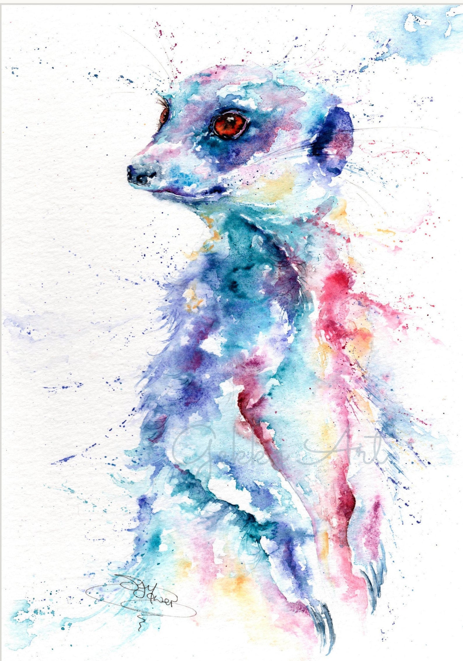 Meerkat 'reg', Watercolour Fine Art Print, Meerkat Watercolour, From an ...