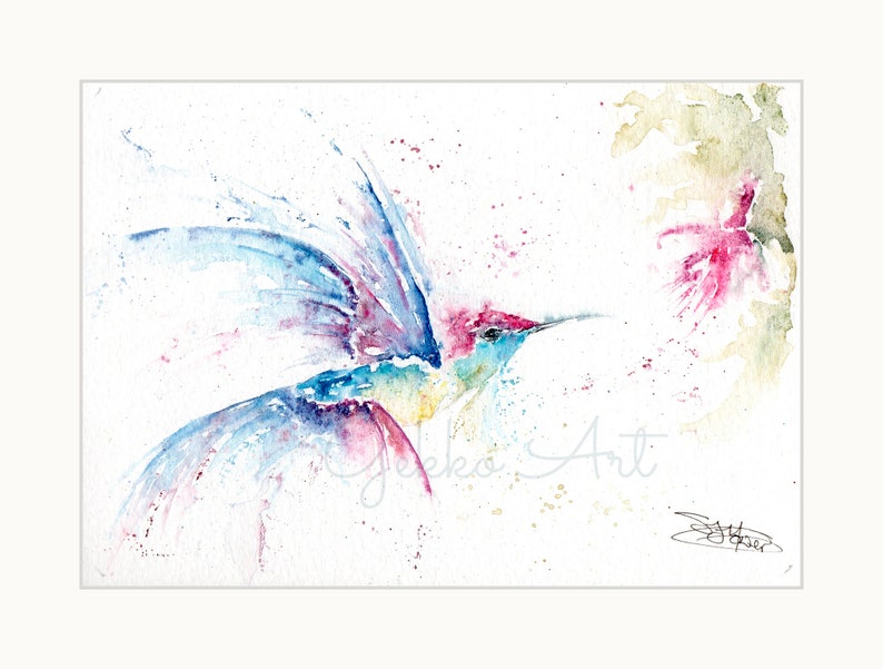 Hummingbird and Fuchsia Fine Art Giclee Print Hummingbird - Etsy