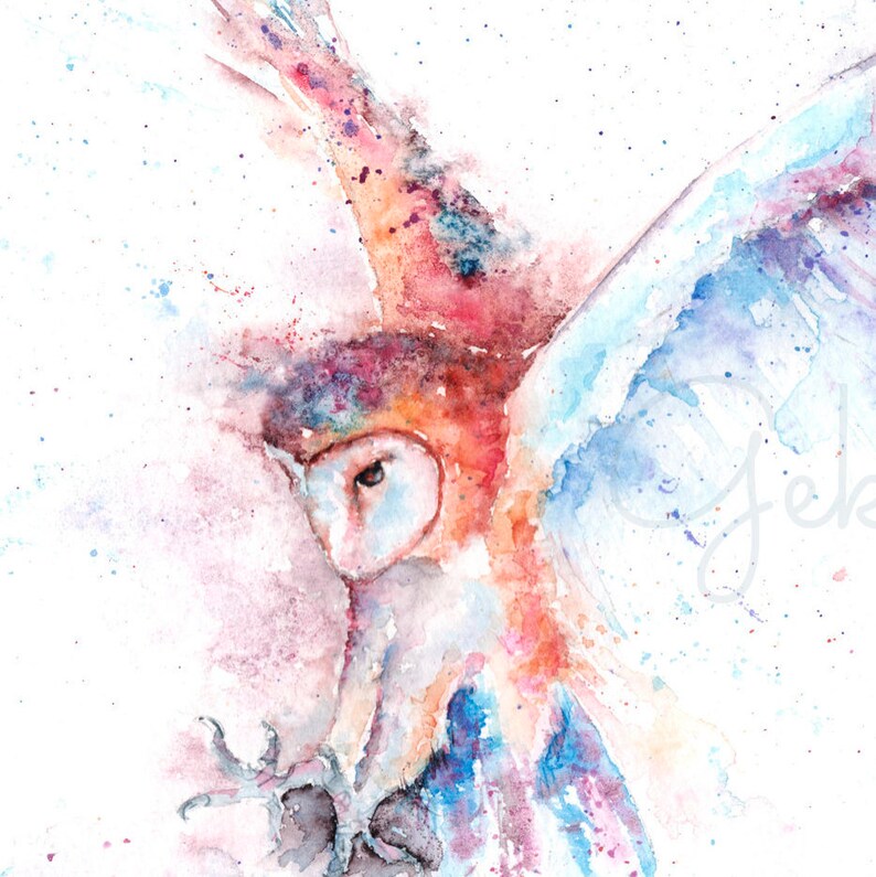 Barn Owl in Flight Limited Edition Print, Colourful Owl Giclee Art ...