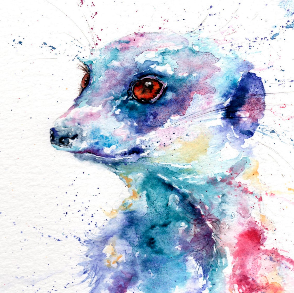 Meerkat 'reg', Watercolour Fine Art Print, Meerkat Watercolour, From an ...
