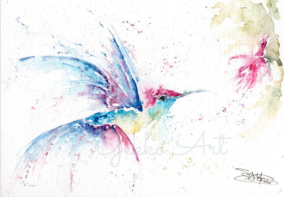 Hummingbird and Fuchsia, Fine Art Giclee Print, Hummingbird Watercolour-from an Original ...