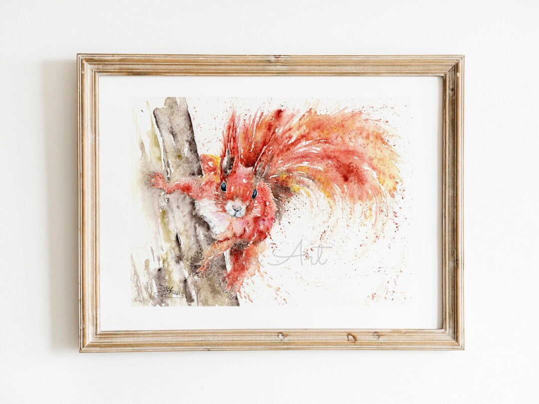 Red Squirrel Giclee Print, Fine Art Watercolour Print From an Original ...