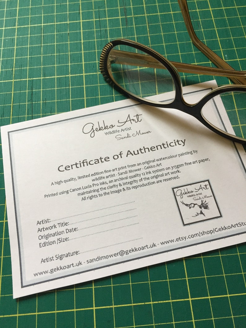 Mum and Baby Elephant Limited Edition Print, Colourful Elephant Giclee ...