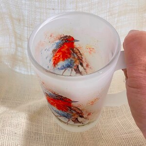 Robin Frosted Beer Glass, Tankard, Stein, 500ml Drinks Glass With ...