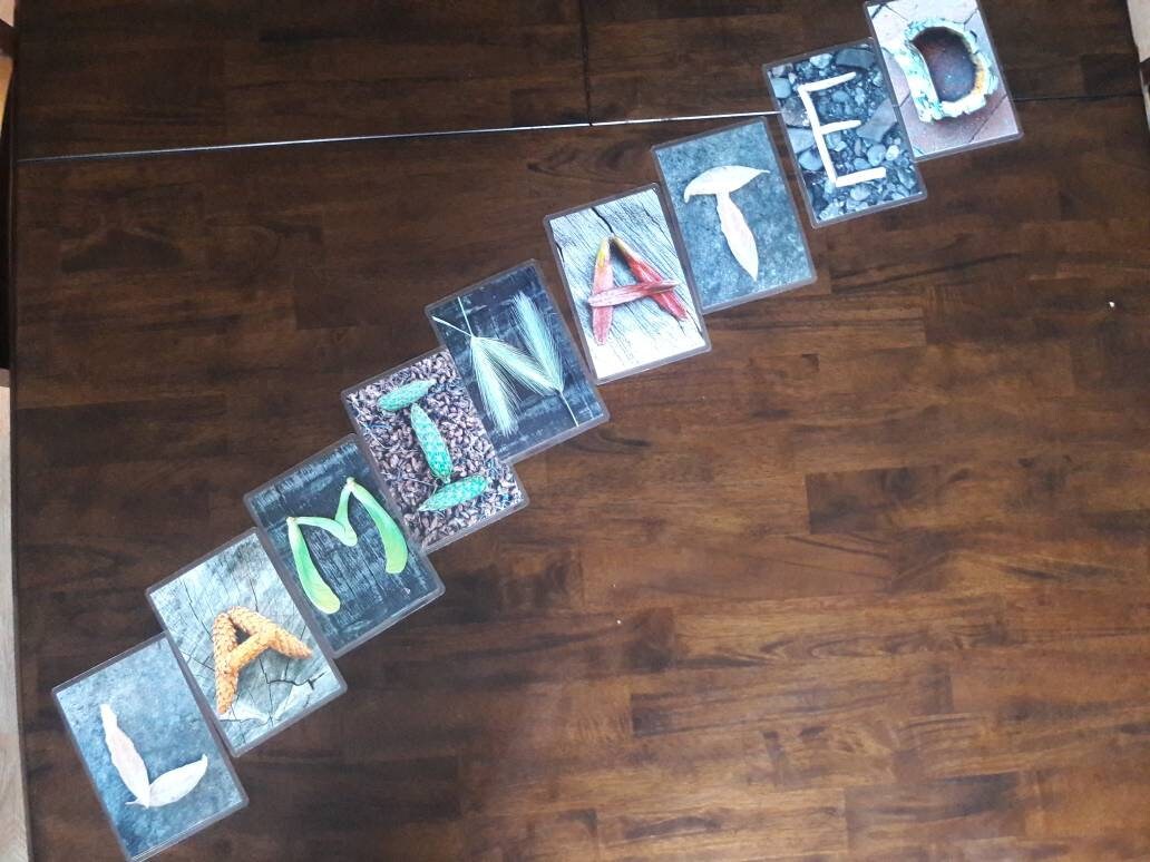 Science Classroom Banner--science Rocks--farmhouse Classroom Decor ...