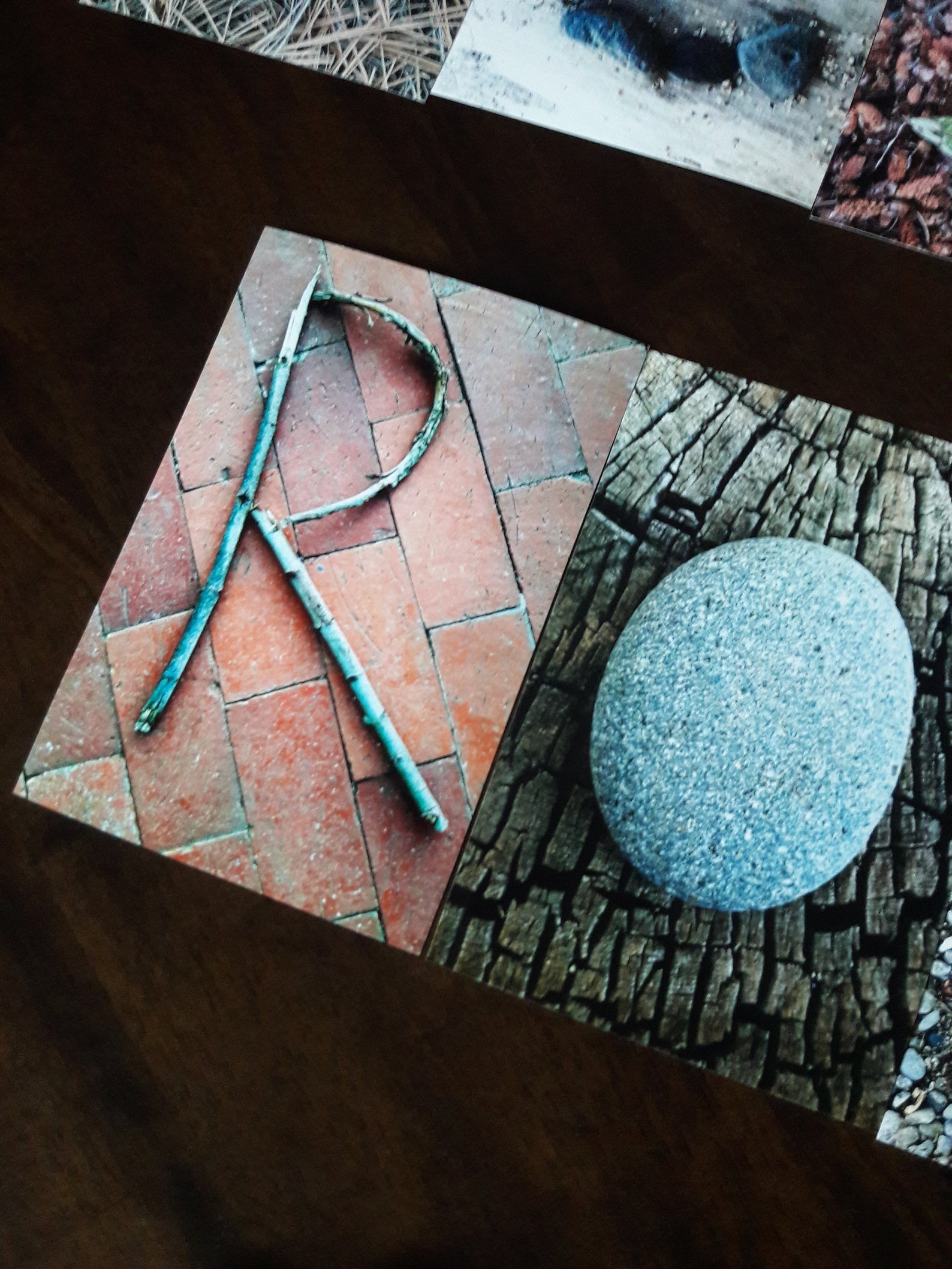 Science Classroom Banner--science Rocks--farmhouse Classroom Decor ...