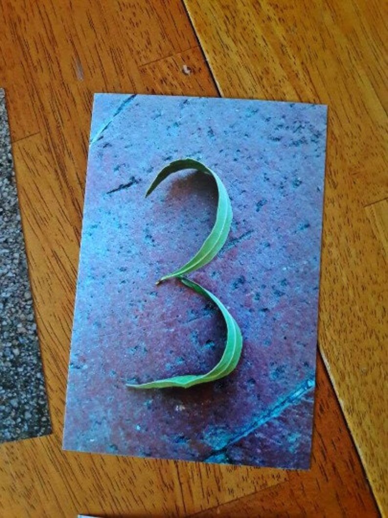 Nature Numbers 0-10--digital Download--farmhouse Classroom Decor ...