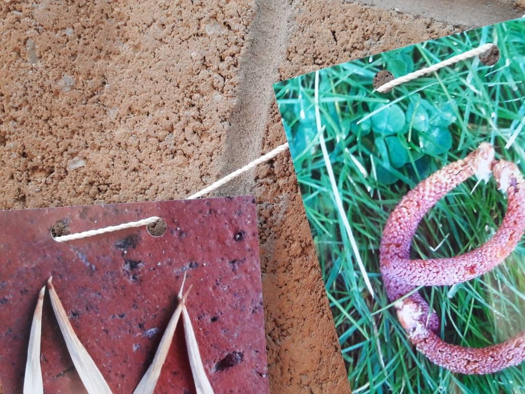 Nature Welcome Banner--classroom Decor--farmhouse Classroom Decor ...