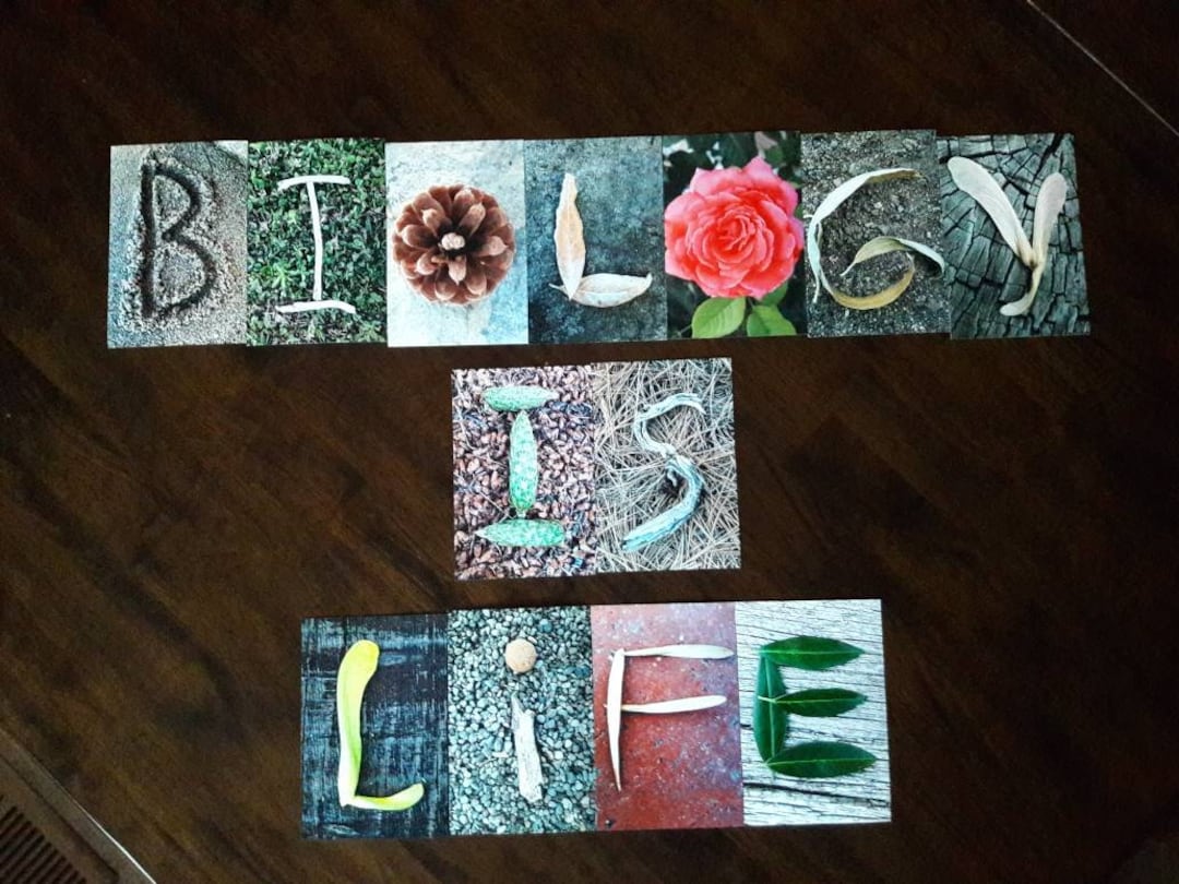 Biology is Life Banner--biology Classroom Decor--rustic Nature Science ...