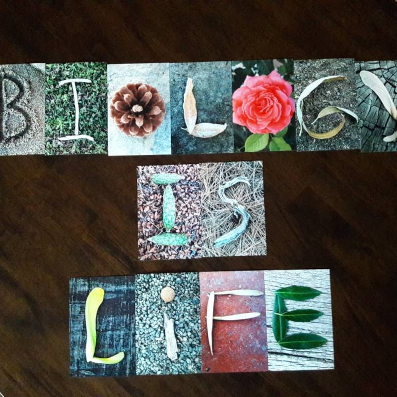 Biology Decor - Etsy