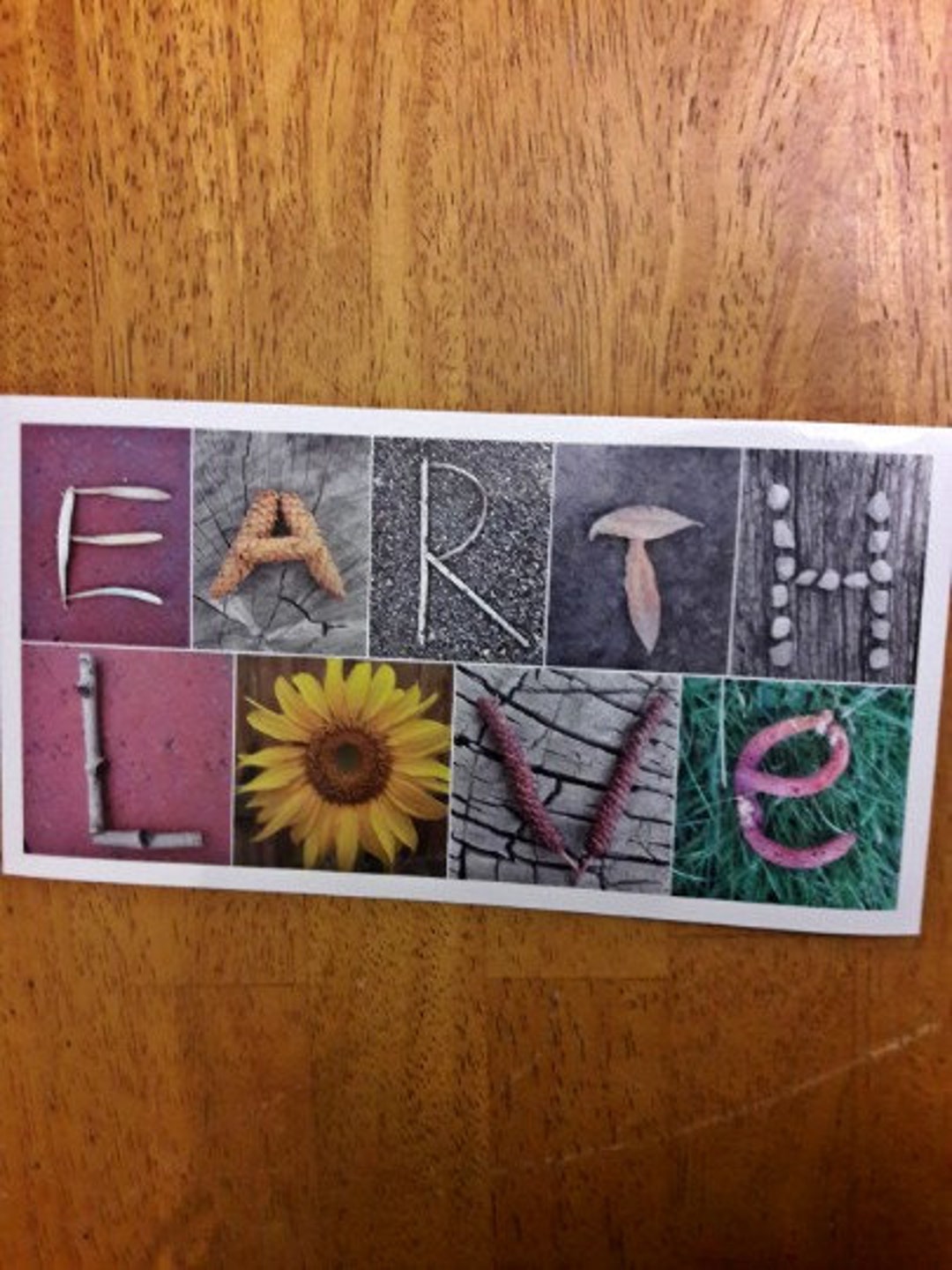 Earth Love Sticker--earth Day Sticker--nature Letters--nature Classroom ...