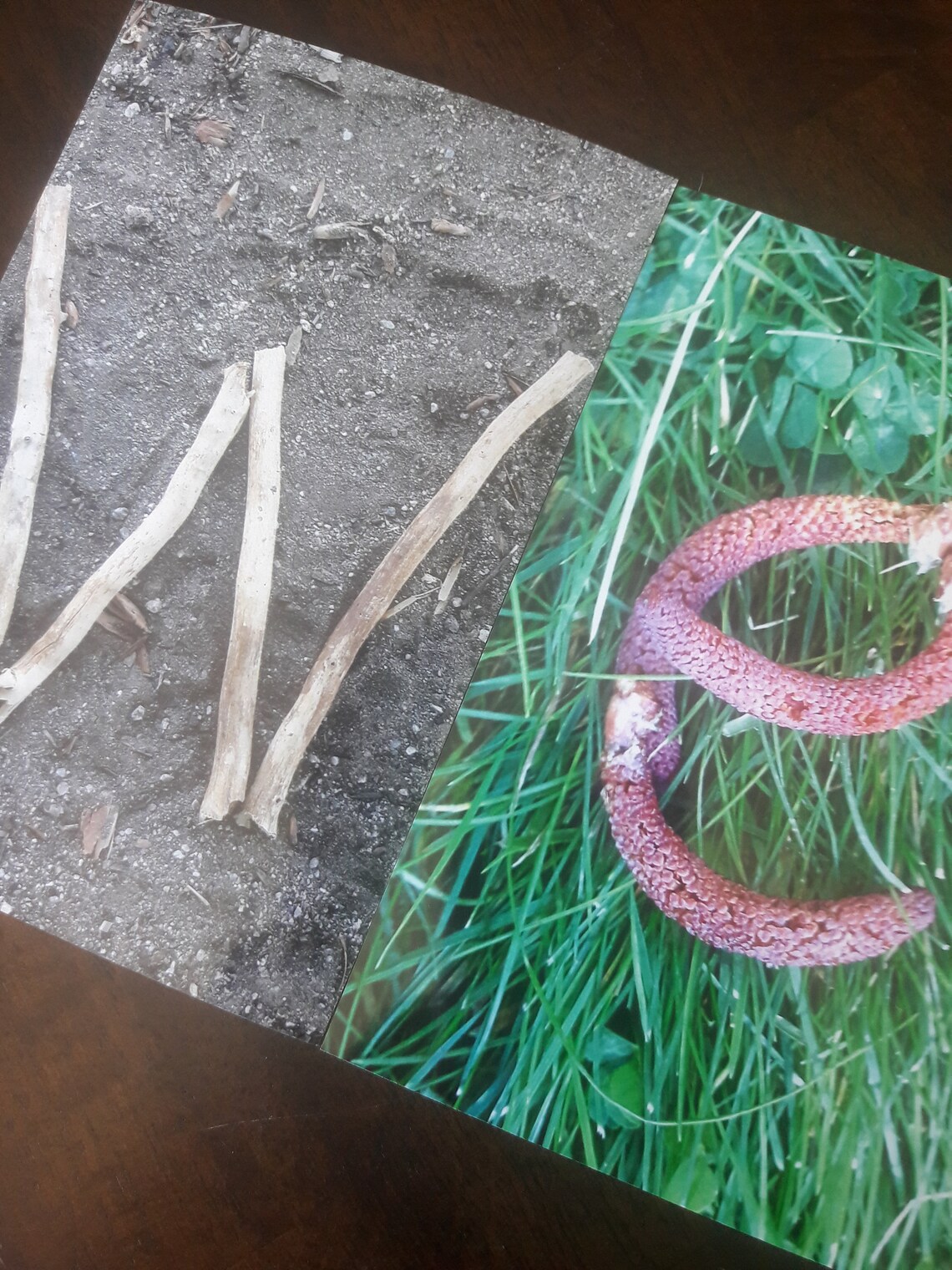 Nature Welcome Banner--classroom Decor--farmhouse Classroom Decor ...