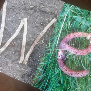 Nature Welcome Banner--classroom Decor--farmhouse Classroom Decor ...