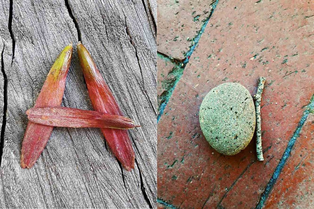 Digital Nature Alphabet Set--upper and Lower Case Abc--nature Abc ...