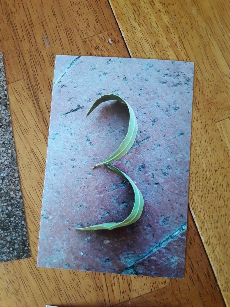 Nature Numbers 0-10farmhouse Classroom Decorpreschool - Etsy