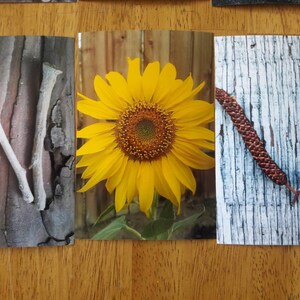 Classroom Calendar--months of the Year--classroom Decor--wall Calendar ...