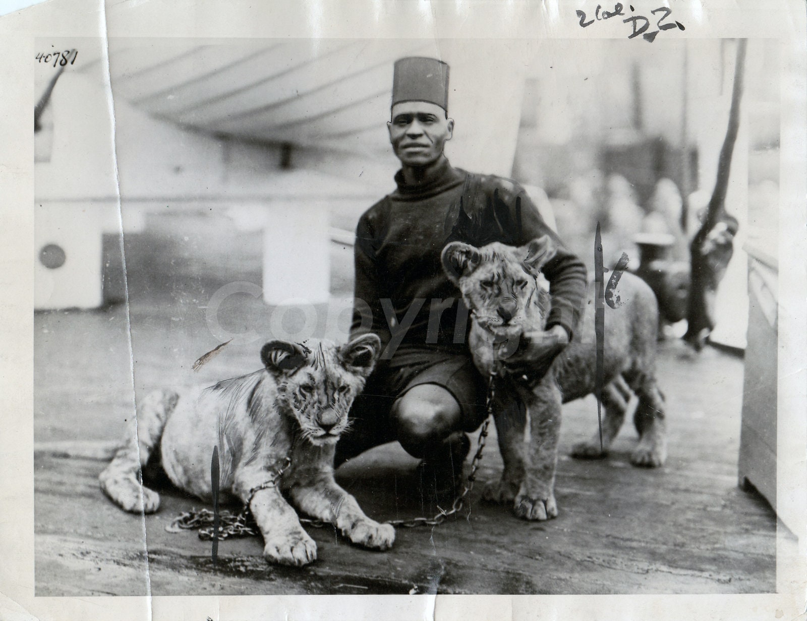 Haile Selassie Lion Pets