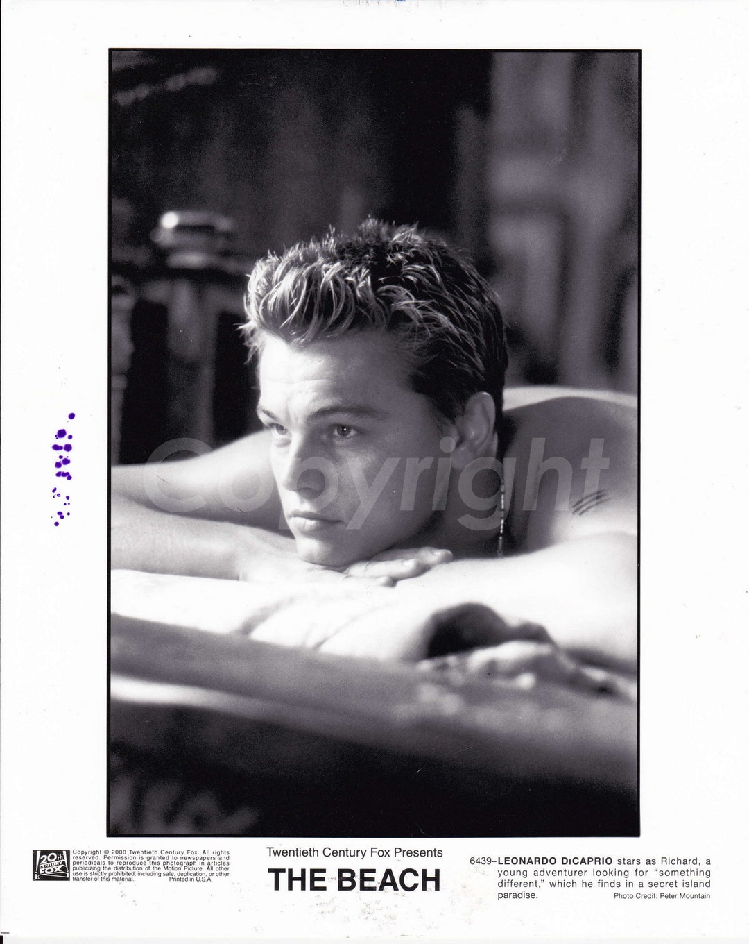 Film Photo - Leonardo Di Caprio, the Beach - 20th Century Fox, Peter ...