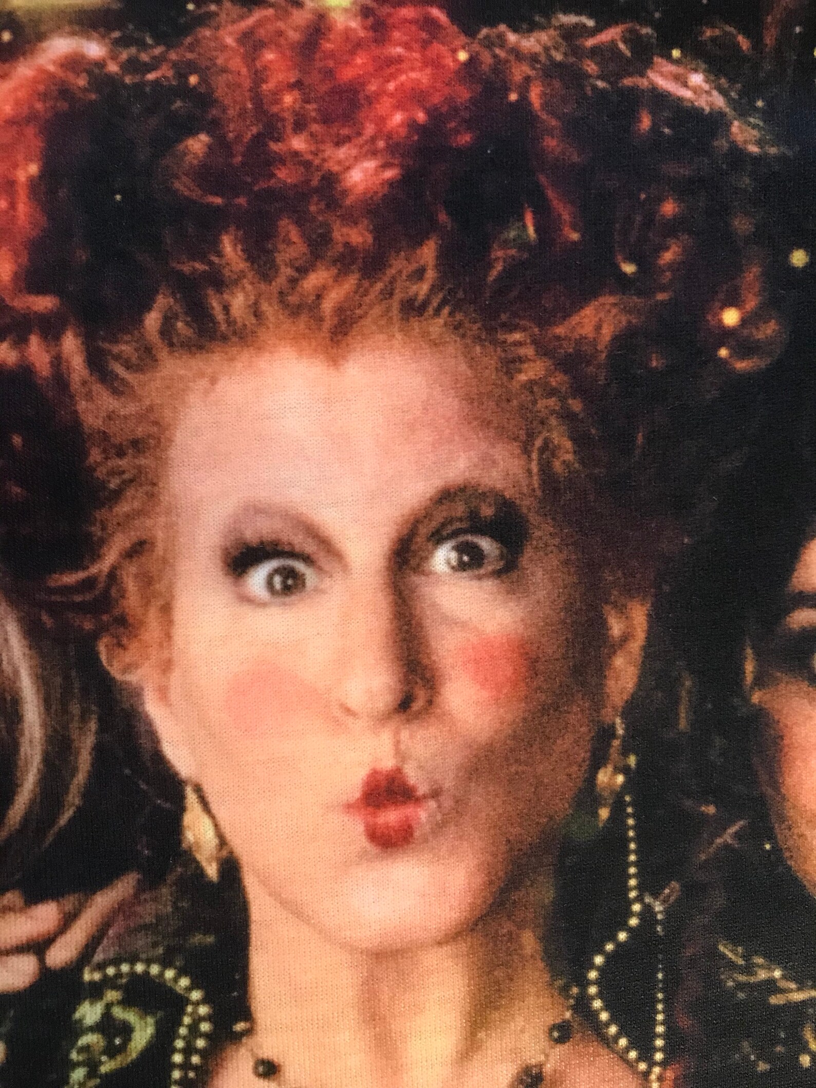 Hocus Pocus Winifred Sanderson Sisters T Shirt. Men's & | Etsy