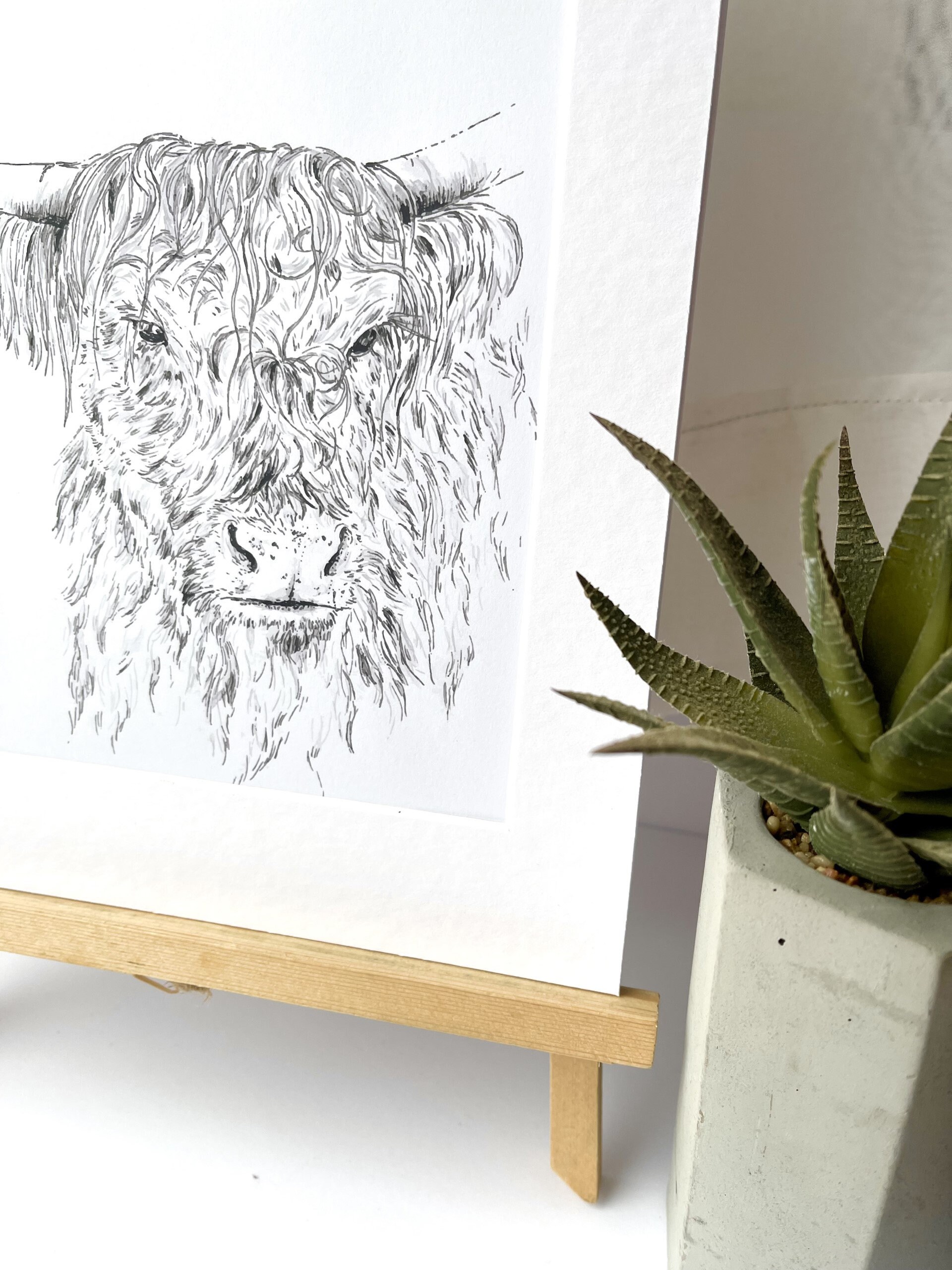 Highland Coo Art Print. Highland Cow Illustration. - Etsy