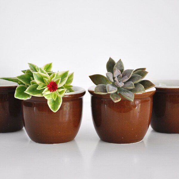 Custard Bowls - Etsy