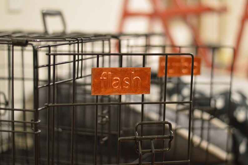 Copper Magnetic Dog Crate Tag: Pet Name Signs for Wire Crates - Etsy