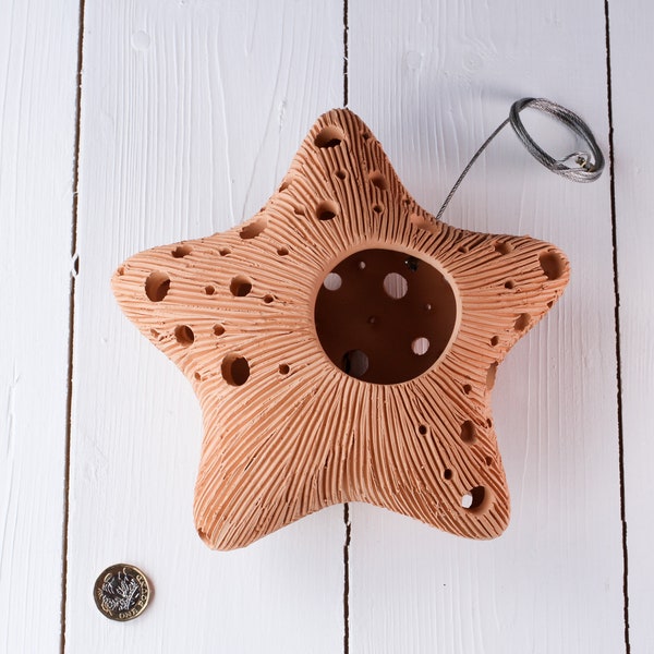 Terracotta Pot - Etsy