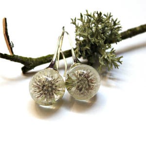 Earrings With a Dandelion, Encased in a Crystal Clear Resin. - Etsy