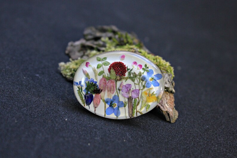 Terrarium Nature Brooch Vintage Brooch Gift for Girl Botanical - Etsy