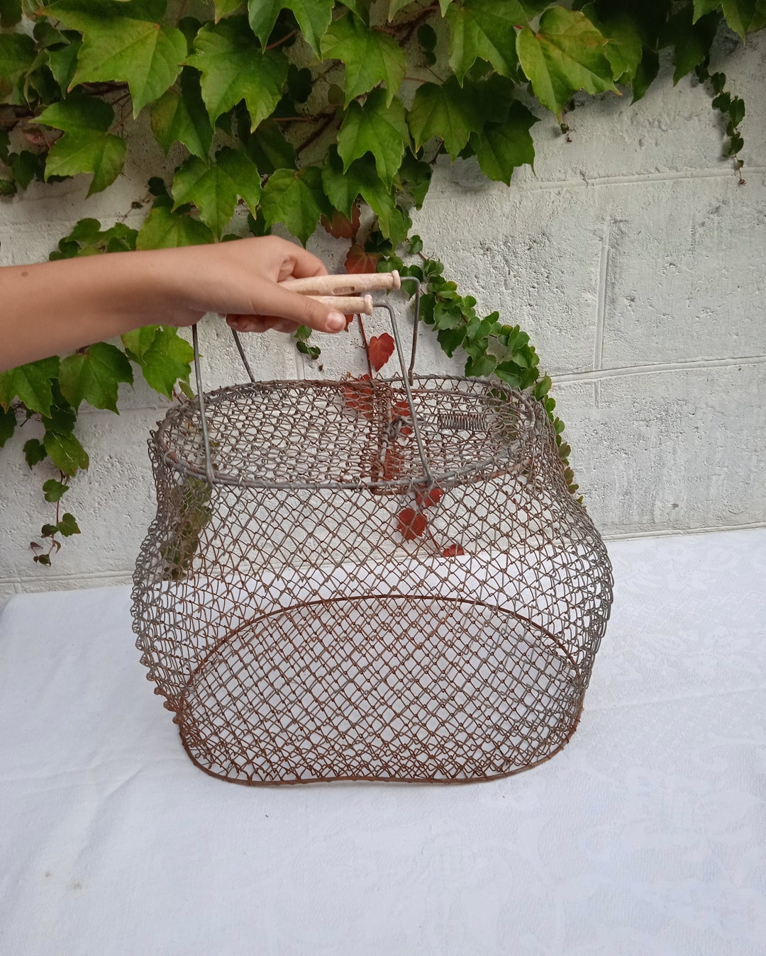 Wire Basket With Handles. Foldable Metal Wire Bag. Mesh Container for ...