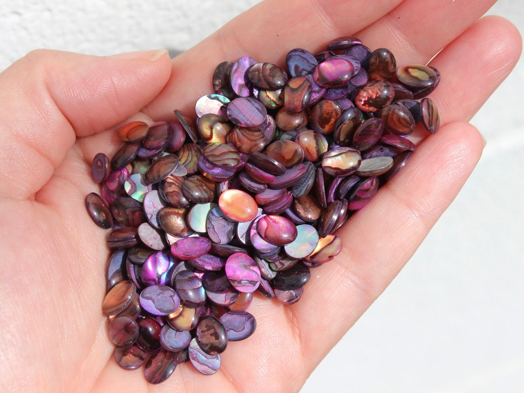 Purple Paua Shell Cabochons, 6x8mm, Sold by the 24pcs, Rare! - Etsy