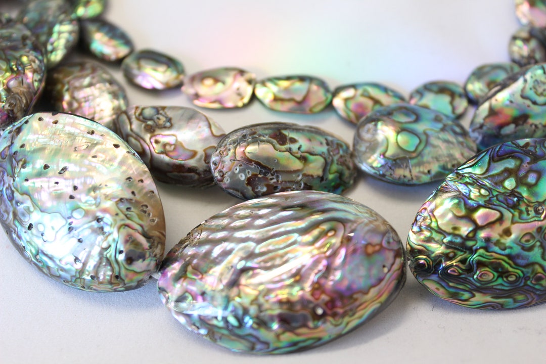 Beautiful Abalone Shell Beads, 3 Sizes to Choose From, Sold by the ...
