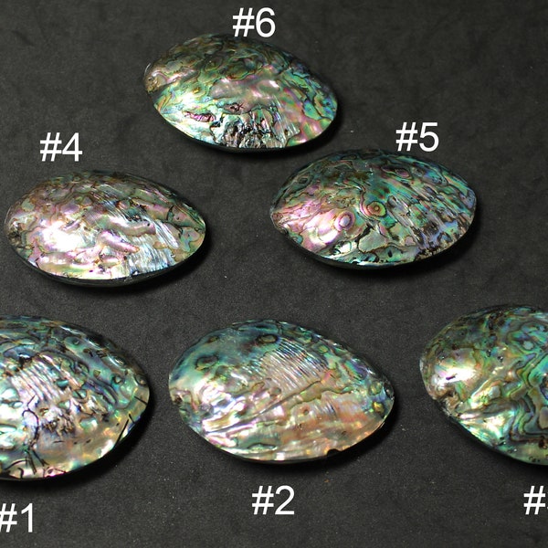 Abalone Shell Beads - Etsy
