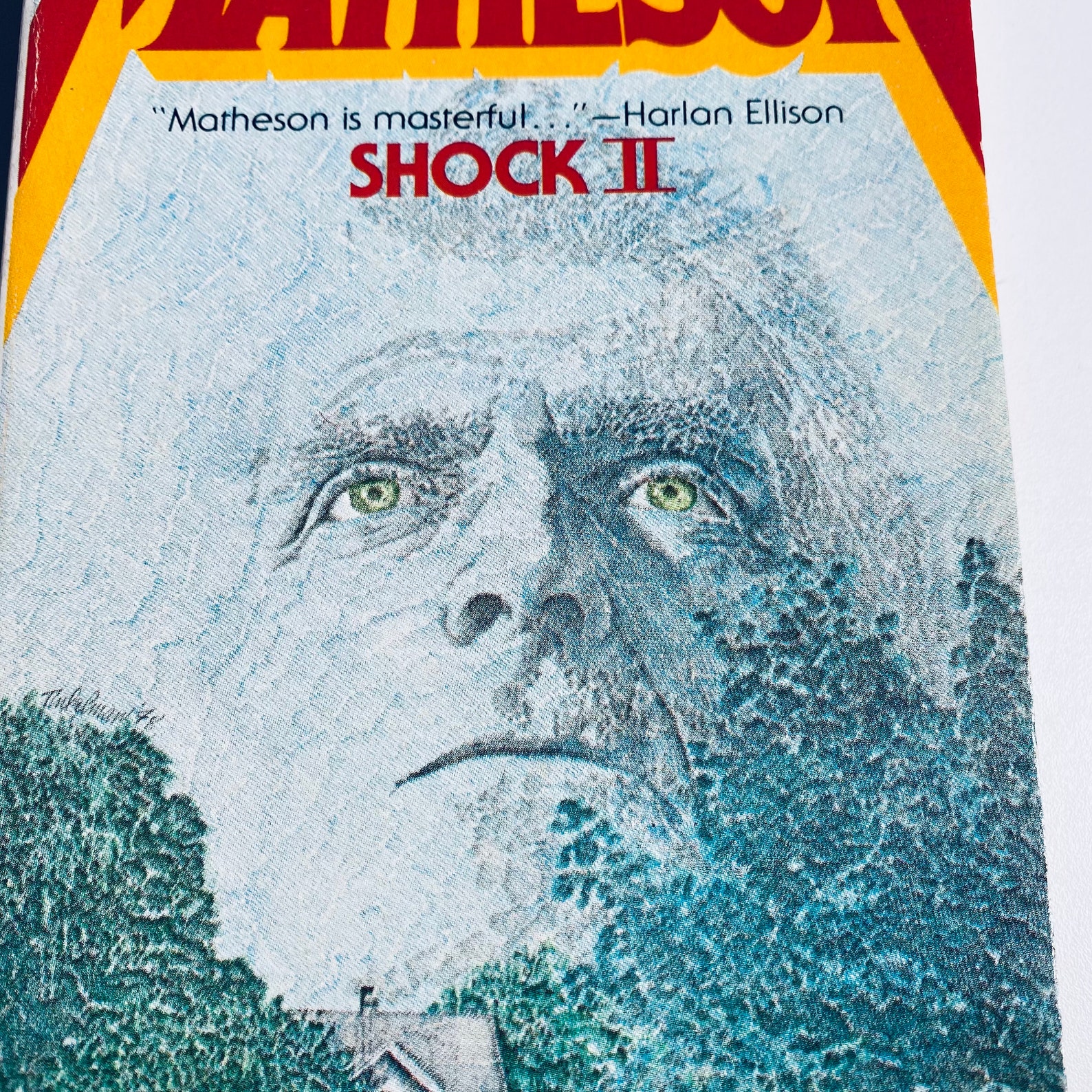 SHOCK II by Richard Matheson / Vintage Paperback book horror | Etsy