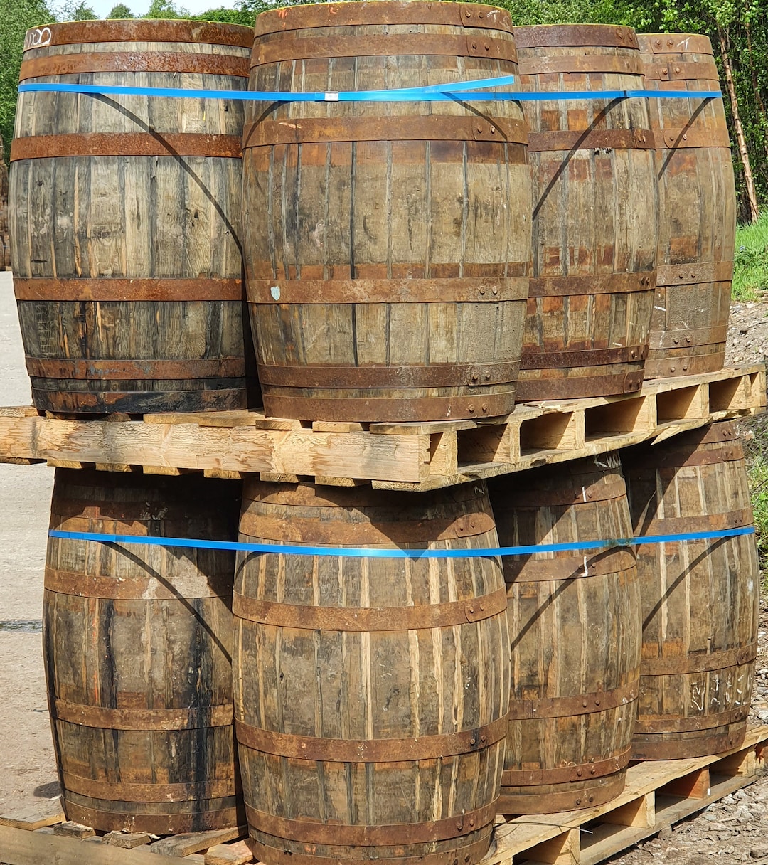 6 Whisky/bourbon Barrels, Wholes 3ft X 2ft..uk Mainland Delivery ...