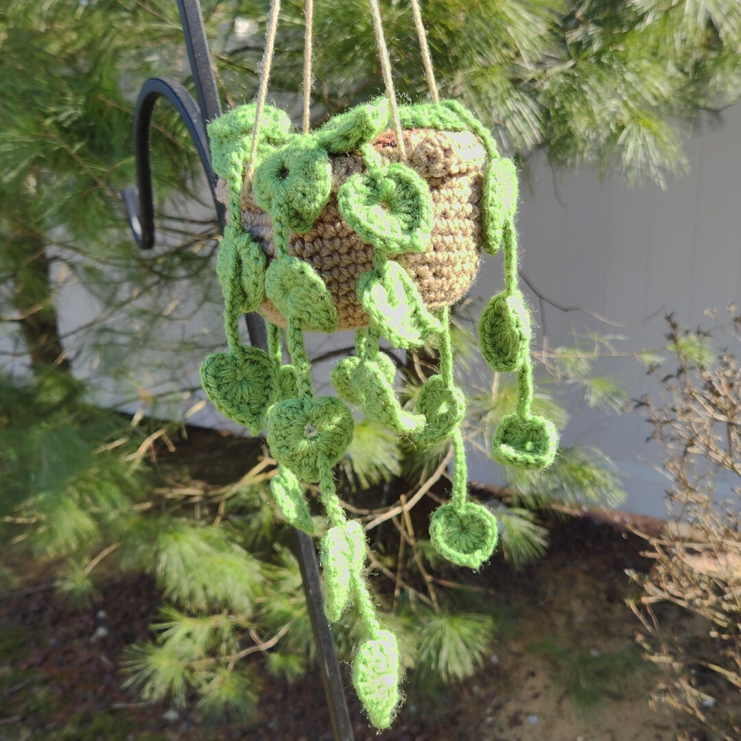 Crochet Hanging Pothos Plant - Etsy