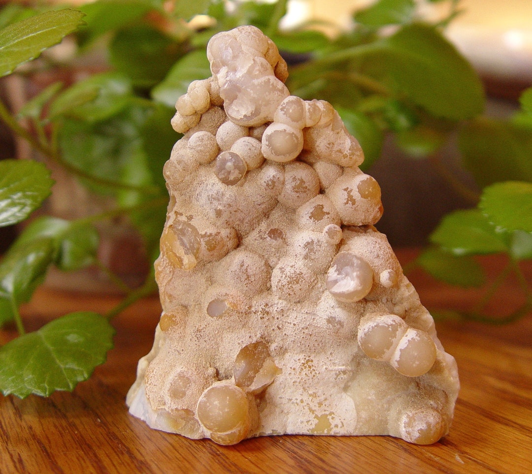 Rare Botryoidal Ocean Jasper Freeform / Orbicular Jelly Ocean Jasper - Etsy