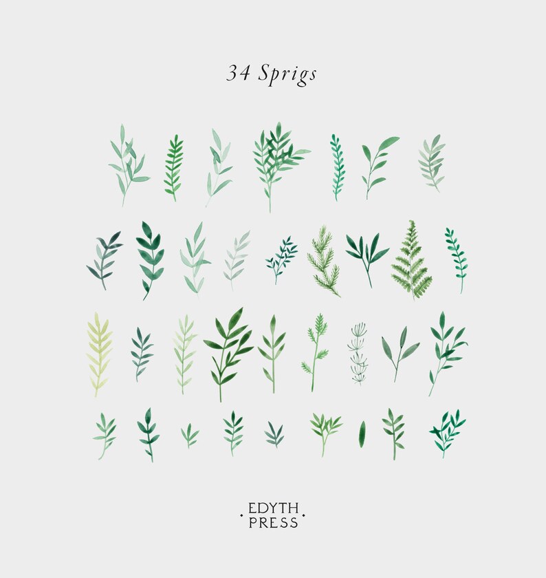 Green Leaf Clipart Greenery Botanical Watercolor Leaves Plant | Etsy