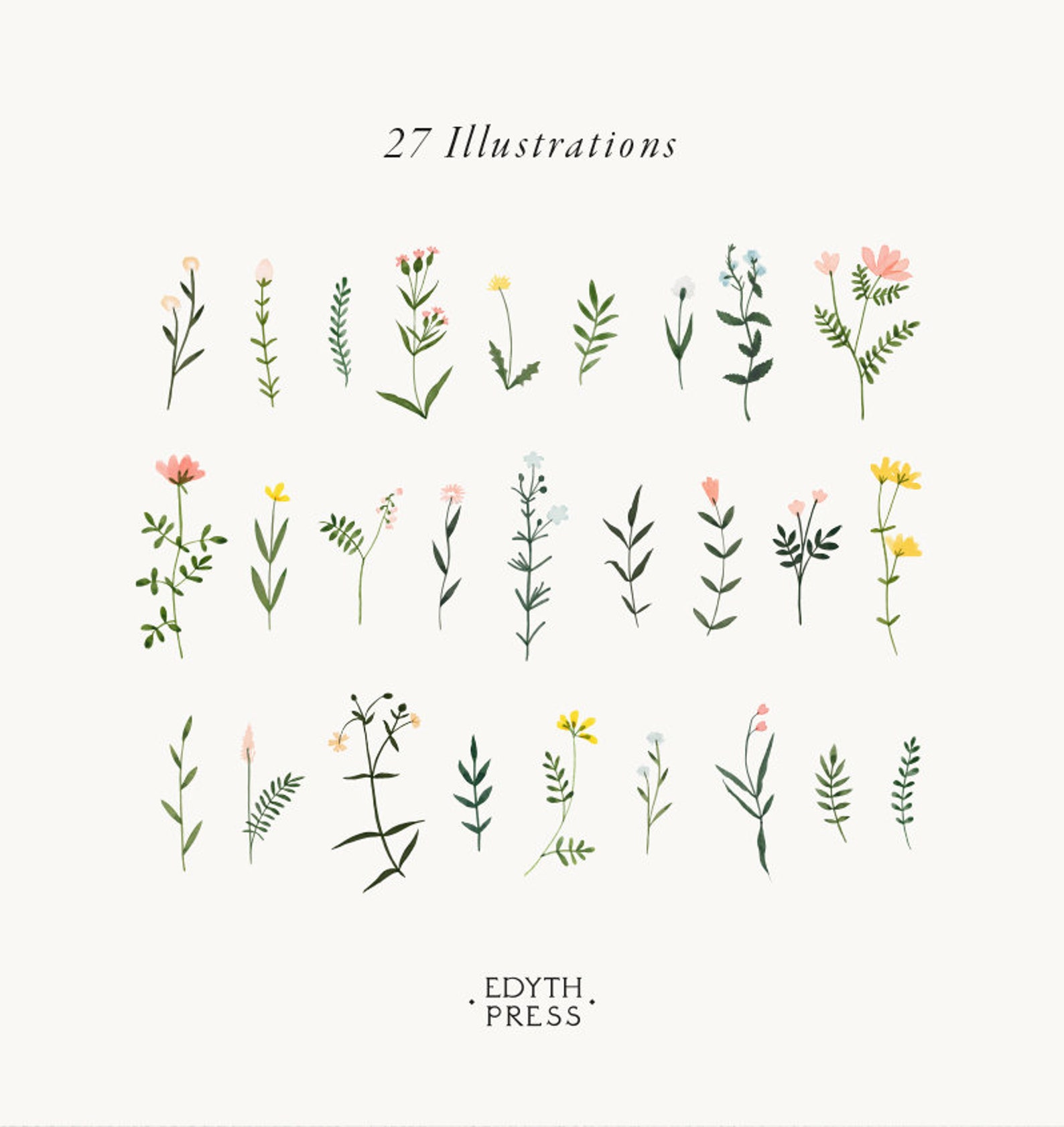 Wildflower Clipart Watercolor Floral Botanical Hand Drawn Png - Etsy