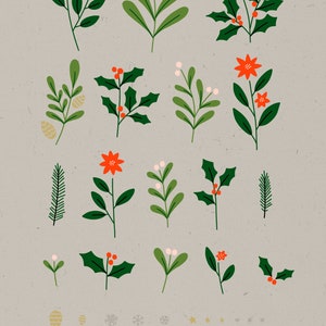 Christmas Clipart Winter Holly Mistletoe Poinsettia Flower Fir Pine ...