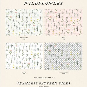 Wildflower Clipart Watercolor Floral Botanical Hand Drawn Png Flowers ...