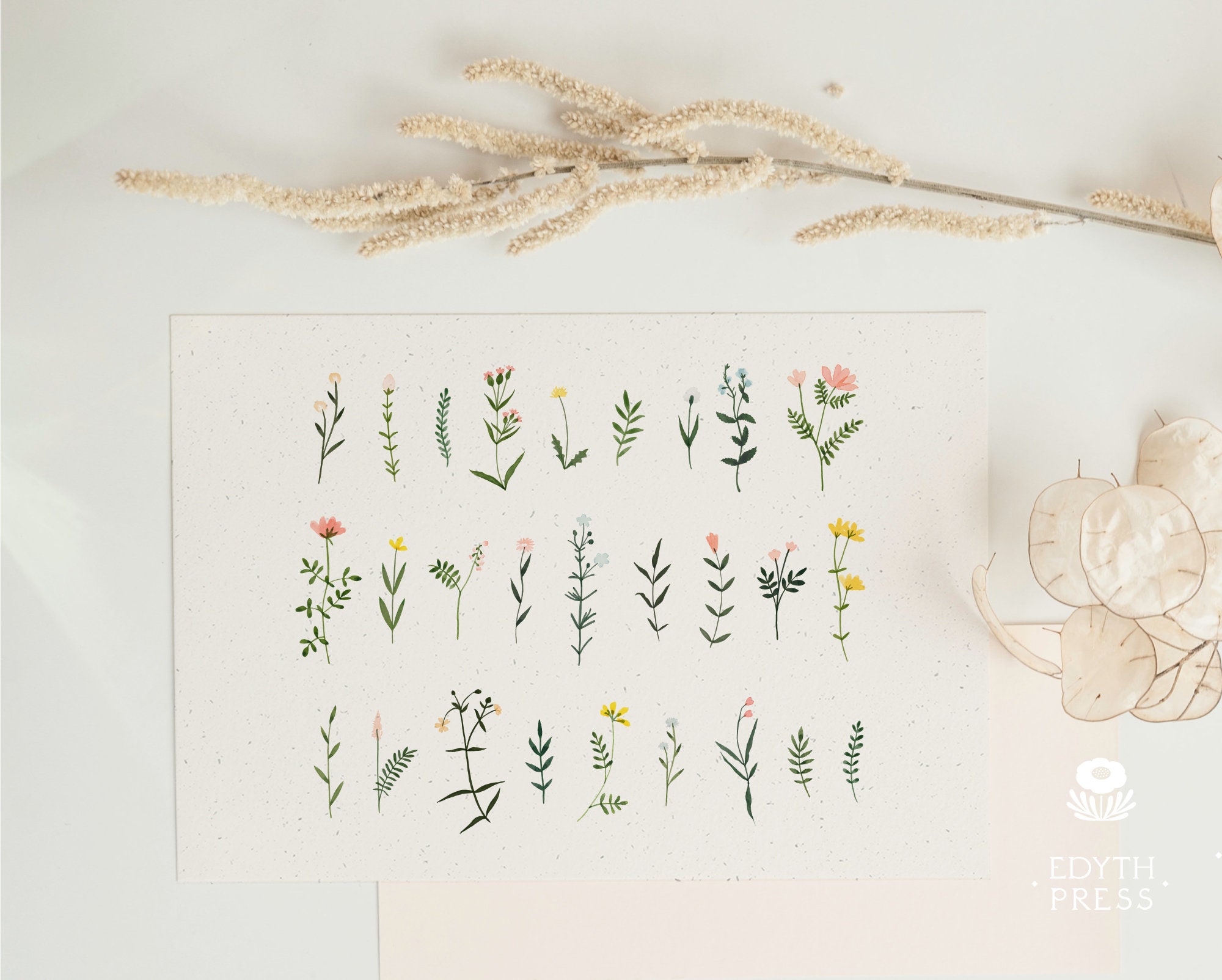 Wildflower Clipart Watercolor Floral Botanical Hand Drawn Png - Etsy