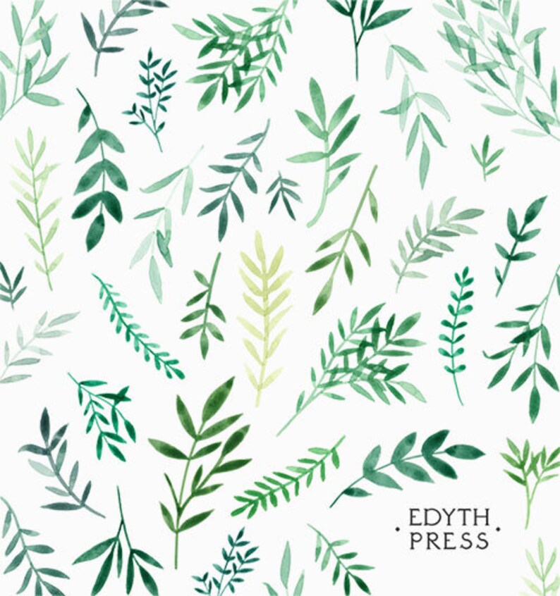 Green Leaf Clipart Greenery Botanical Watercolor Bundle Leaves - Etsy